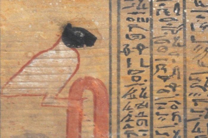Oldest Depiction Of Ancient Egyptian Demons Found | Live Science