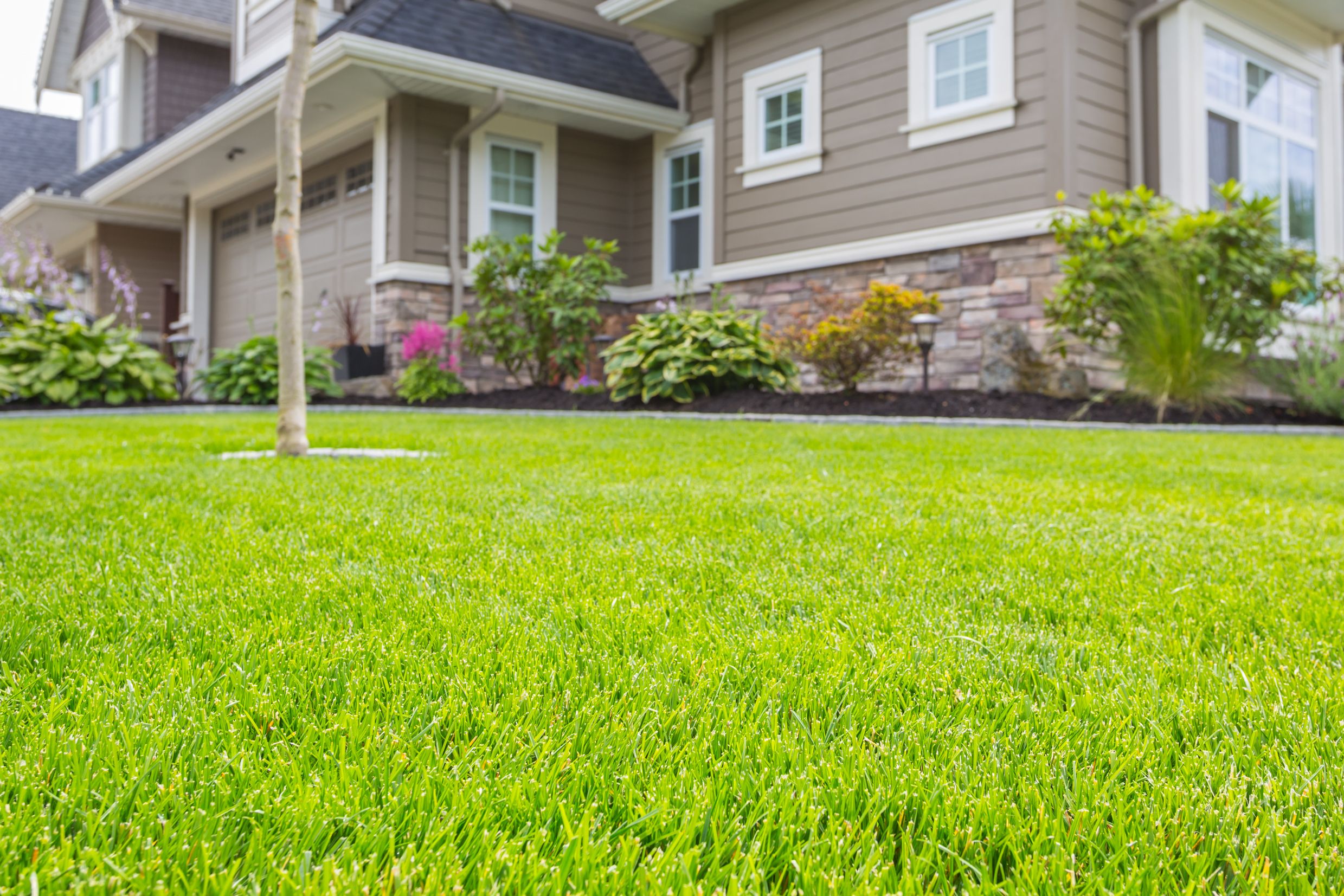 Here's the best time to aerate your lawn in spring | Tom's Guide
