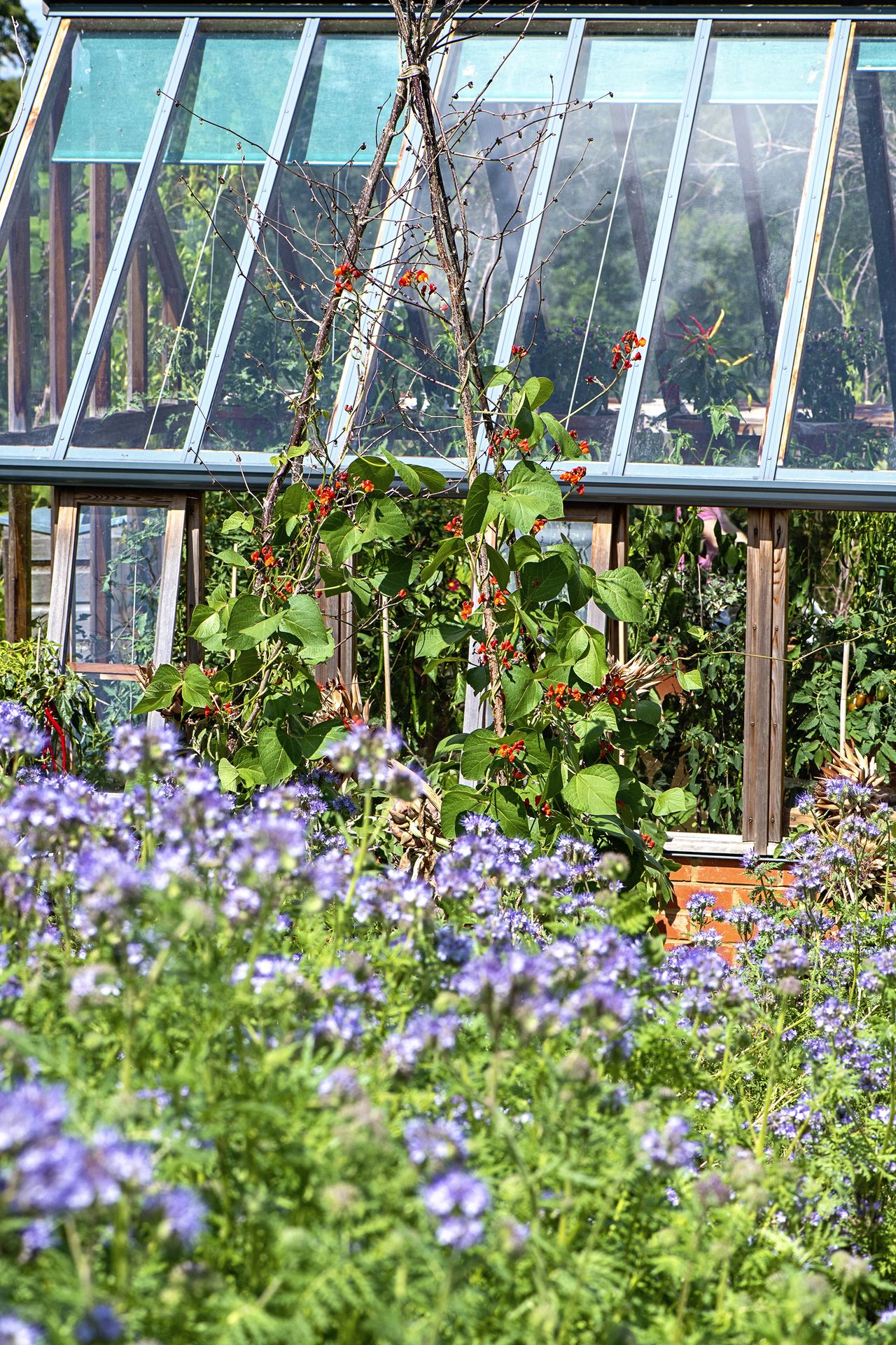 Vegetable garden trellis ideas: 18 ways to max your harvest | Homes and ...