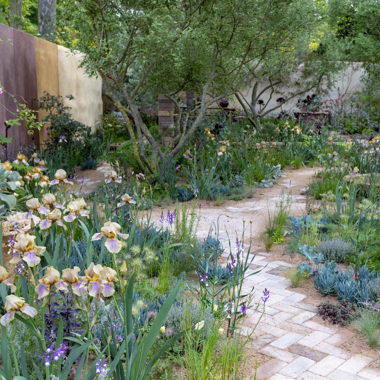 ‘Matrix planting’ is the hot new garden border trend | Ideal Home