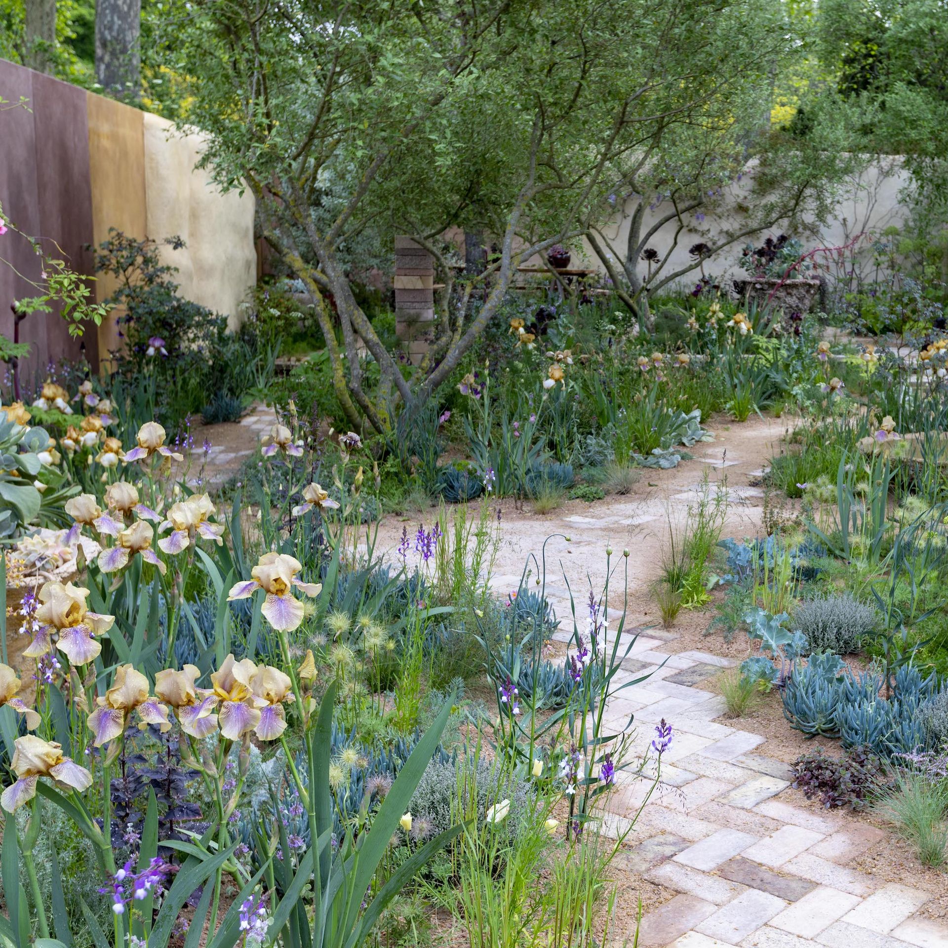 ‘Matrix planting’ is the hot new garden border trend | Ideal Home