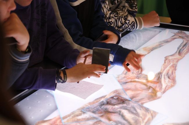 Ötzi the Iceman Was a Heart Attack Waiting to Happen | Live Science