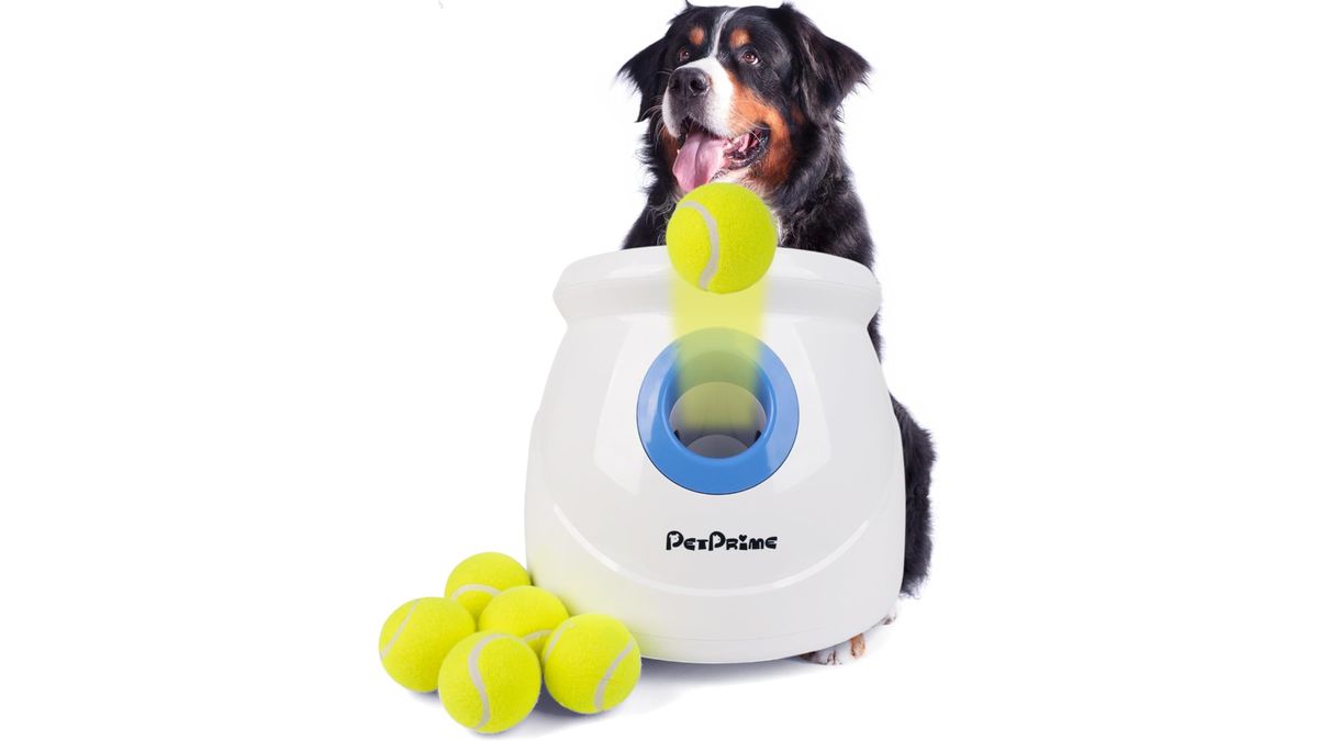 Best ball throwing machines for dogs 2024 for effortless entertainment ...