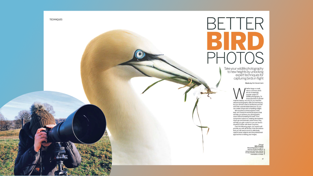 Capture stunning bird photos with Digital Photographer Magazine Issue ...