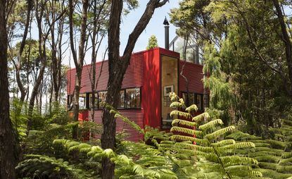 Colour pop: this bright red New Zealand house stands out in its leafy ...