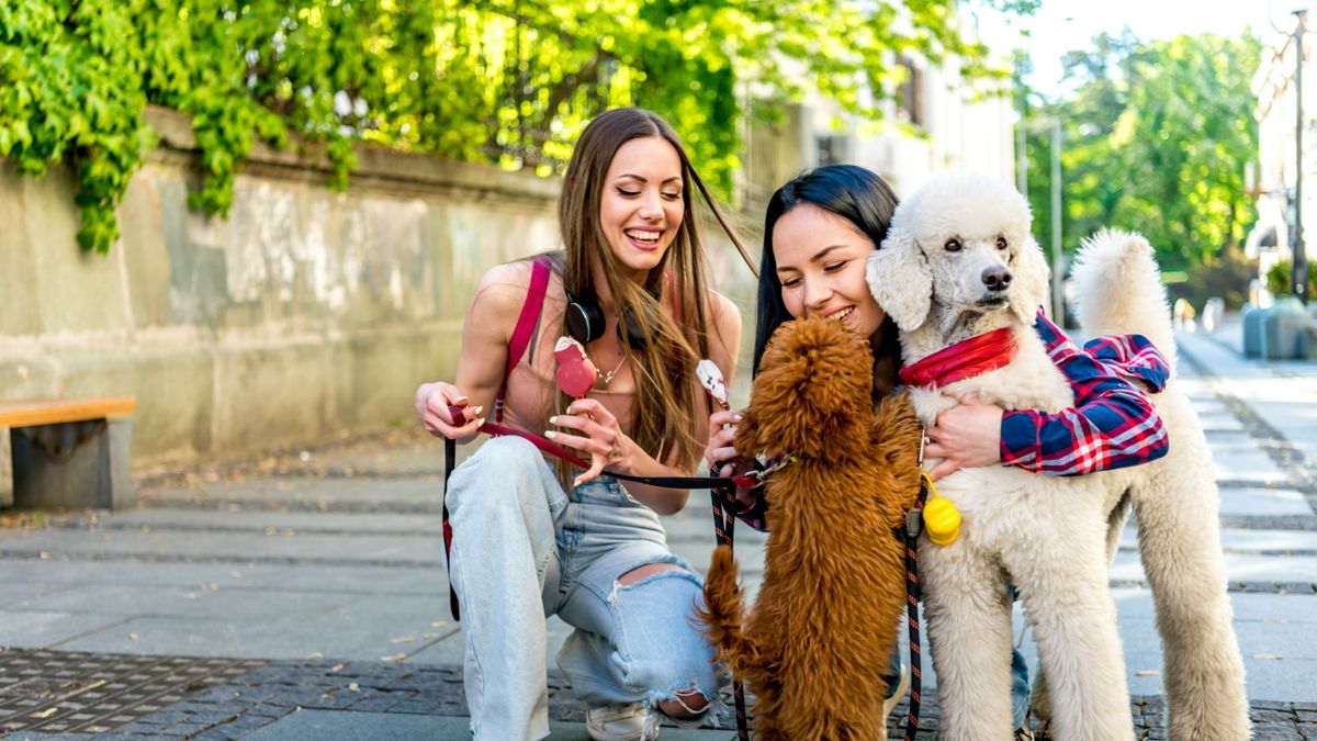 32 ways to build self-care into your dog walk | PetsRadar