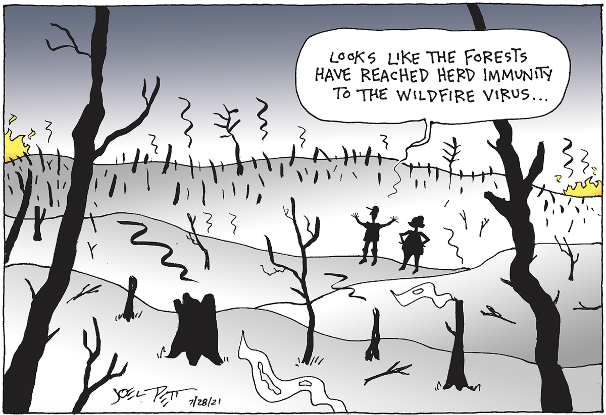 wildfires | The Week