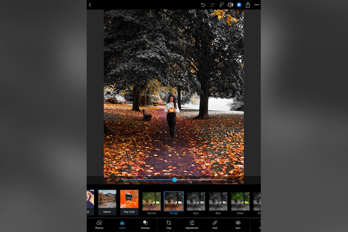 How to use the Photoshop Express app | Digital Camera World