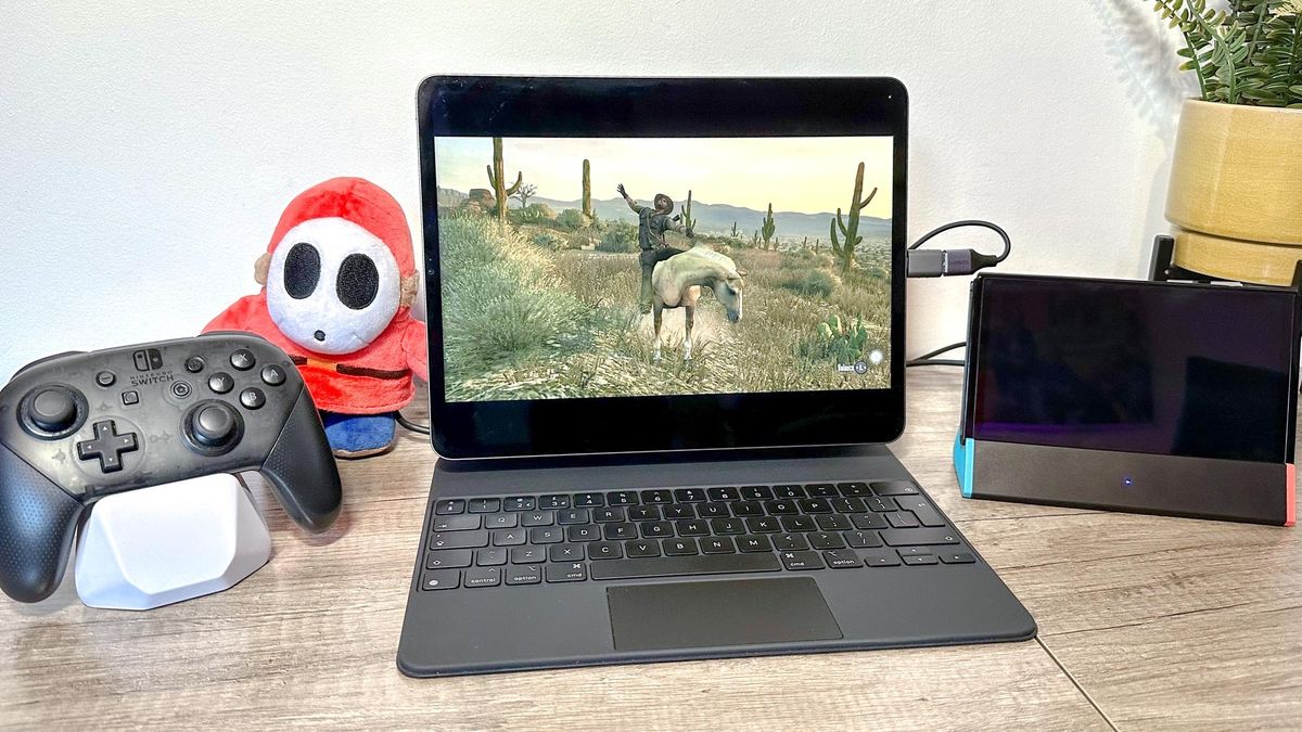 I just used my iPad as a Nintendo Switch screen — the results are ...
