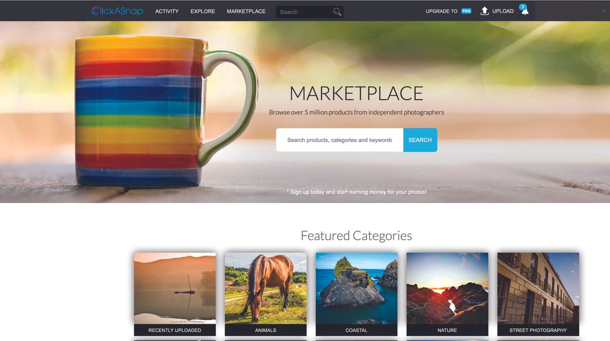 Find a 'new Instagram' – 5 alternative photo sharing platforms ...
