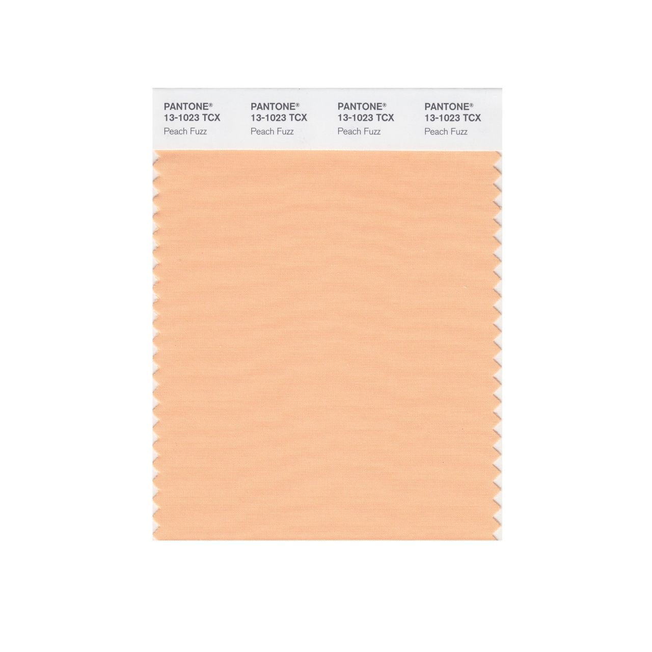 Pantone colour of the year 2024 is announced as Peach Fuzz | Ideal Home