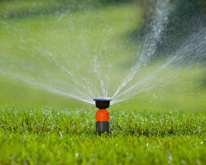 How to adjust sprinkler heads: top tips for success | Gardeningetc