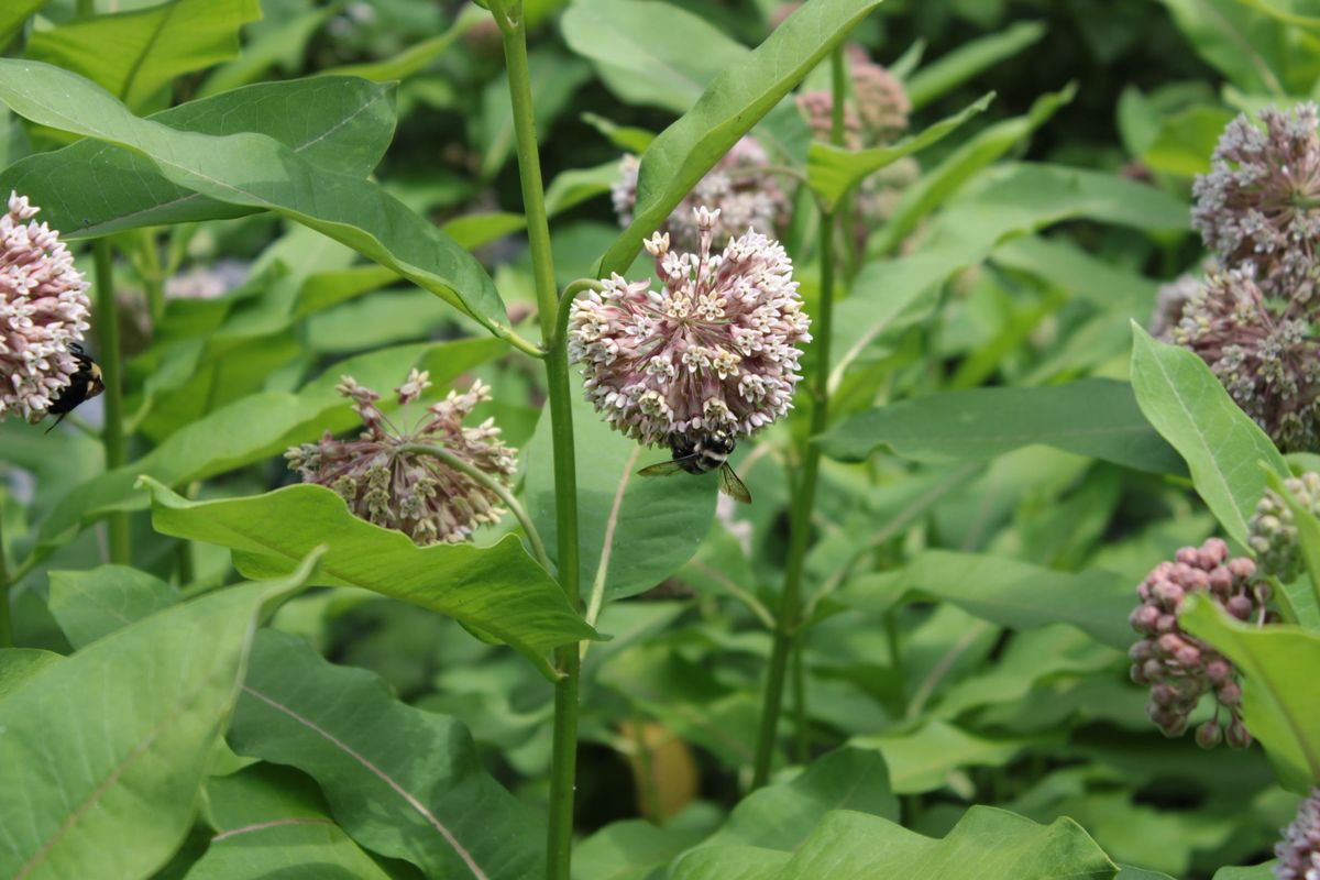 Canon EOS Rebel T7 - Full Review and Benchmarks | Tom's Guide