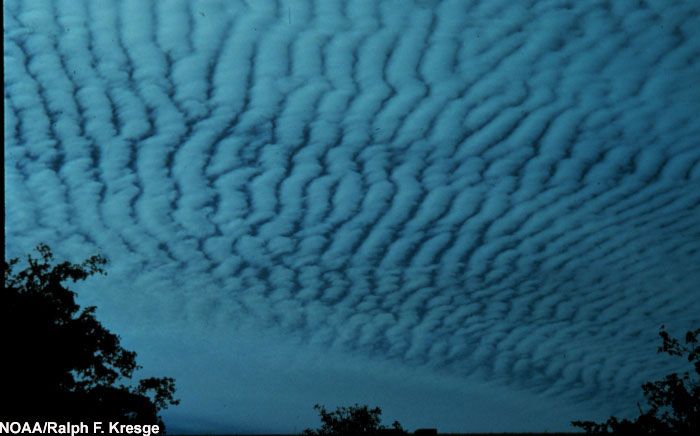 Curious Clouds | Polar Clouds & Stratosphere | Wild Weather: Page 3 ...