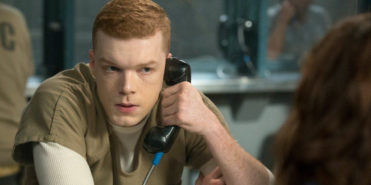 Shameless: What The Cast Is Doing Next | Cinemablend