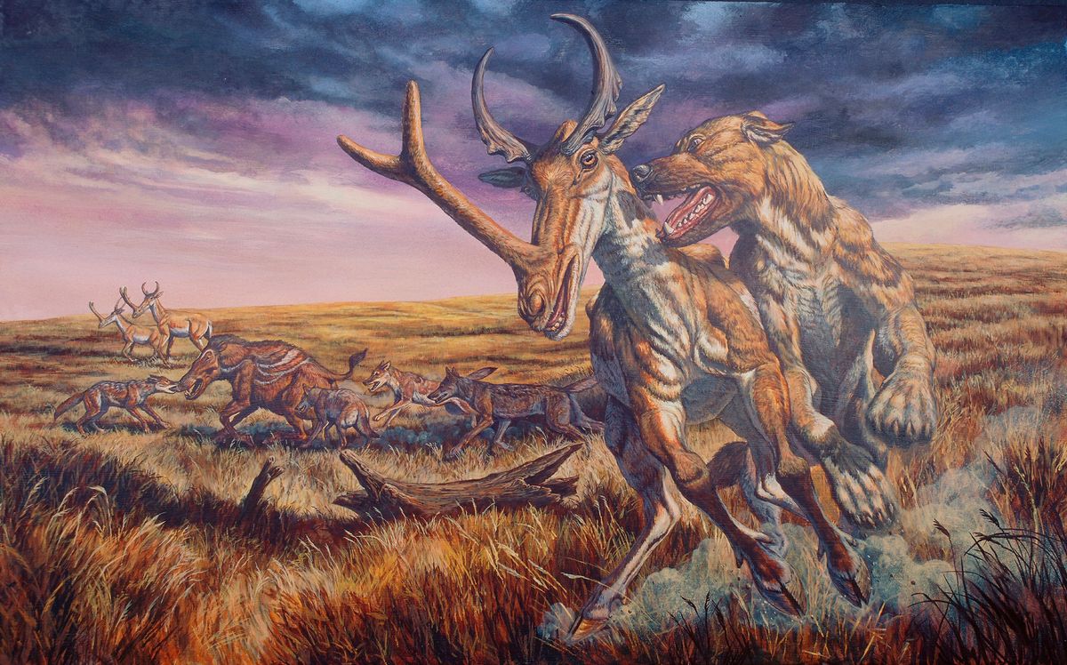 Large, bone-crushing dogs stalked 'Rhino Pompeii' after Yellowstone ...