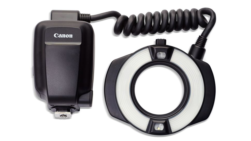 Best ringflash for macro photography | Digital Camera World