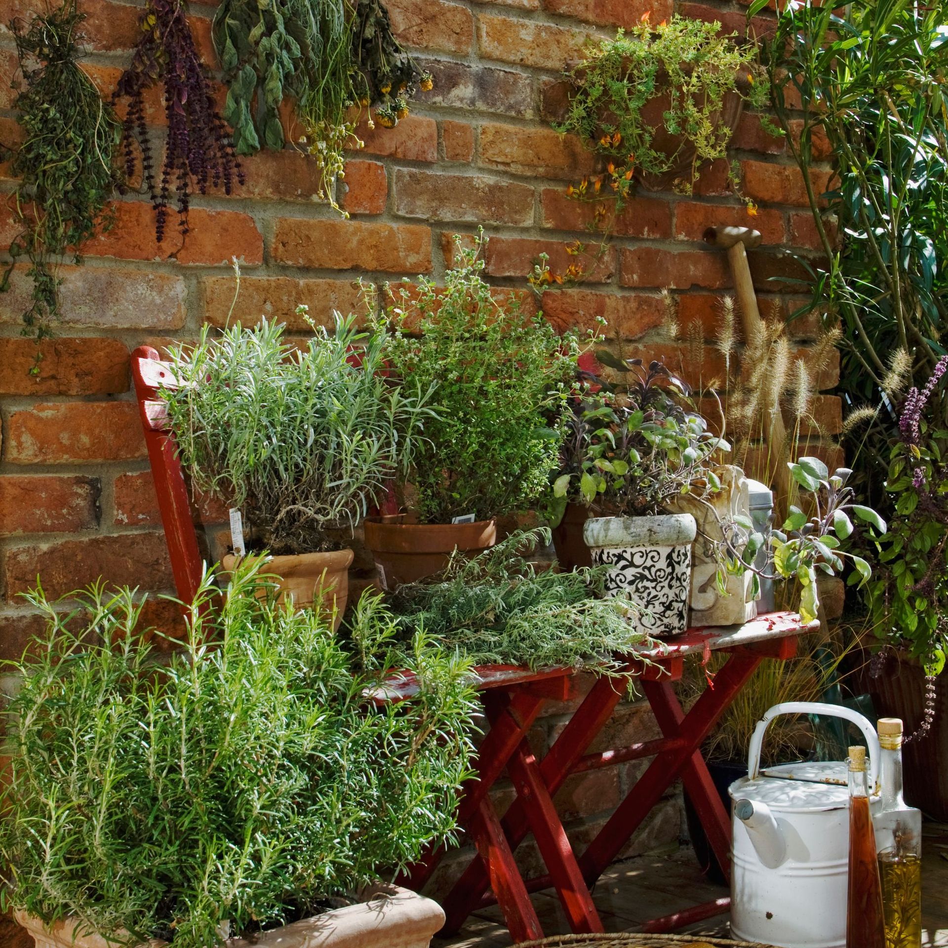 How to grow a tea garden – a step-by-step guide | Ideal Home