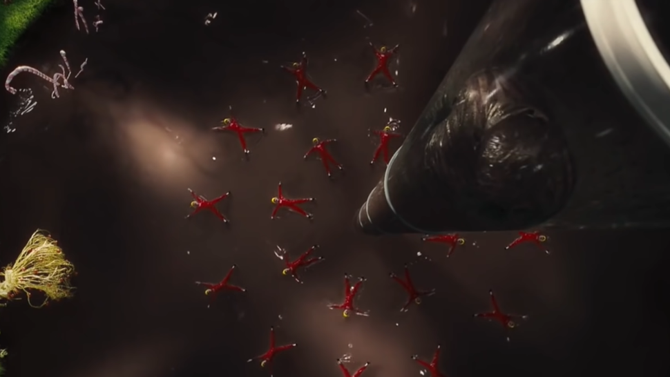 2005's Charlie And The Chocolate Factory Cast: What The Actors Are ...