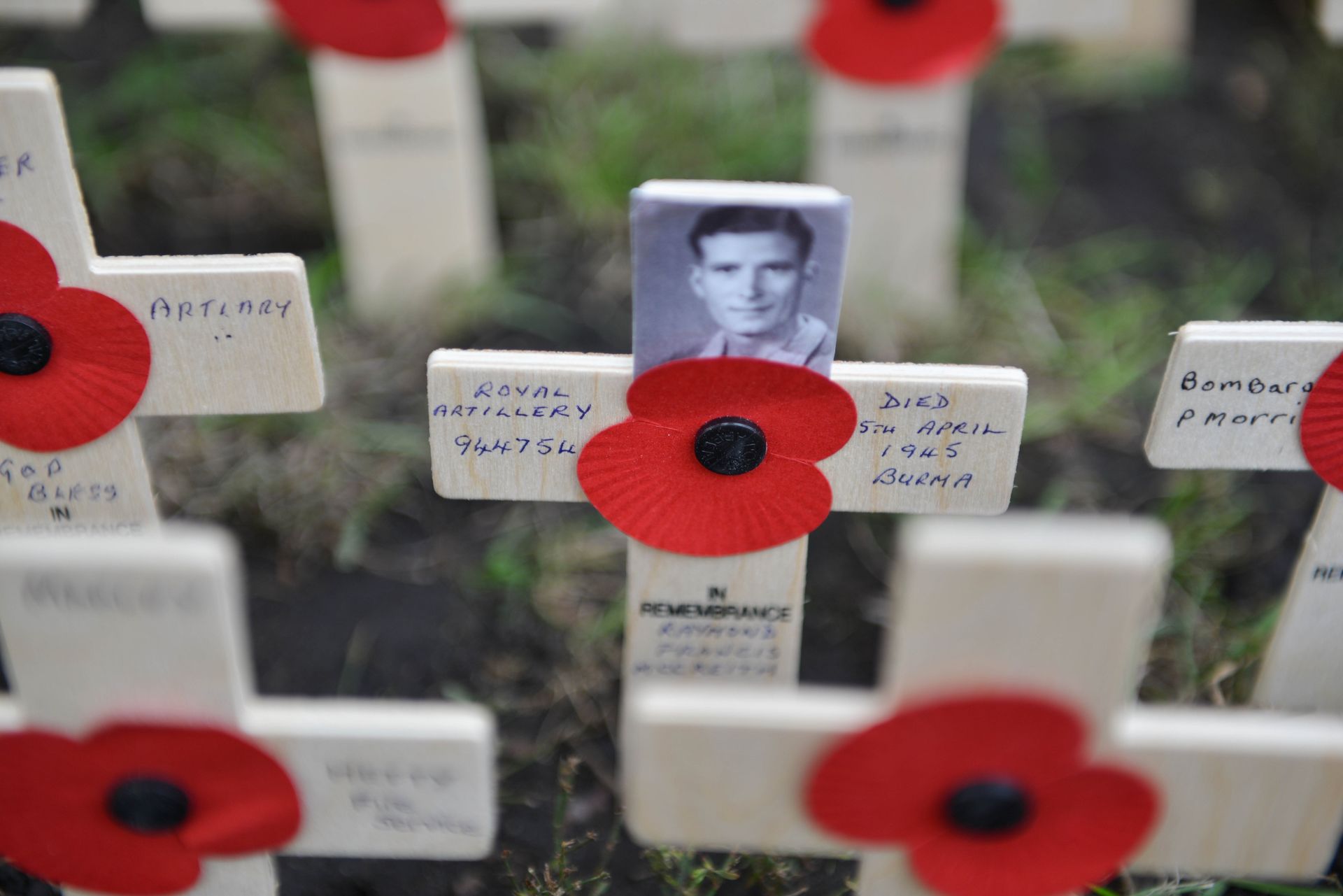 Remembrance Day: why does the Queen wear five poppies? | Woman & Home