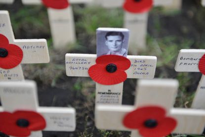 Remembrance Day: why does the Queen wear five poppies? | Woman & Home