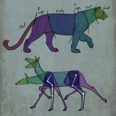 How to draw animals: 15 top tips | Creative Bloq