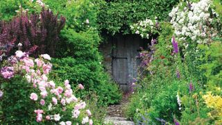 How to turn over soil: a step-by-step expert guide | Homes and Gardens