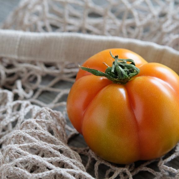History Of Golden King Of Siberia Tomatoes | Gardening Know How