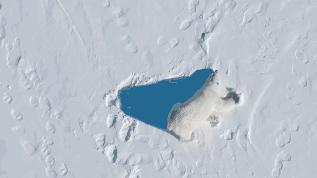 Polar photographer Florian Ledoux proves the cold won't bring down his ...