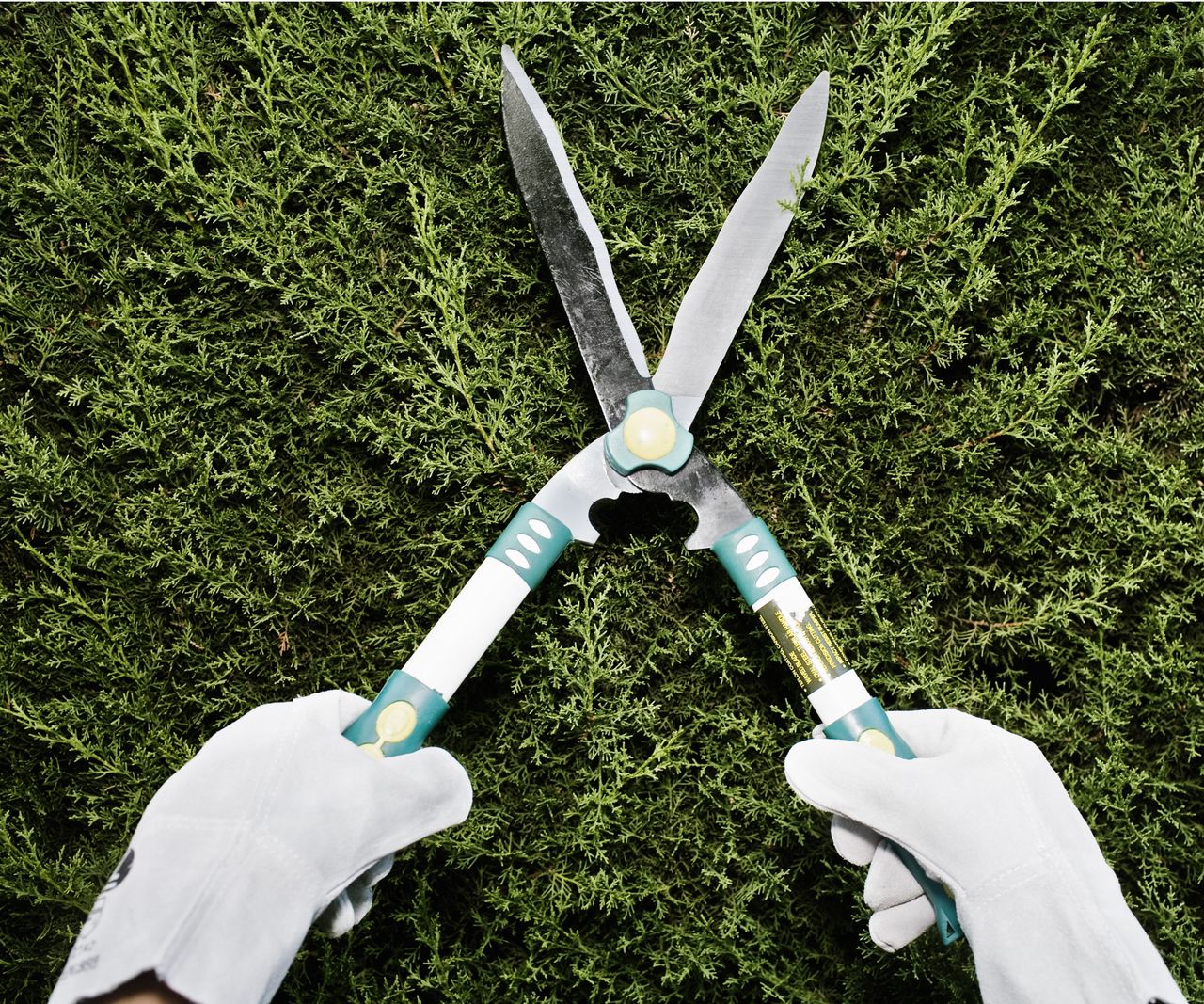 10 essential gardening tools every gardener needs | Homes and Gardens