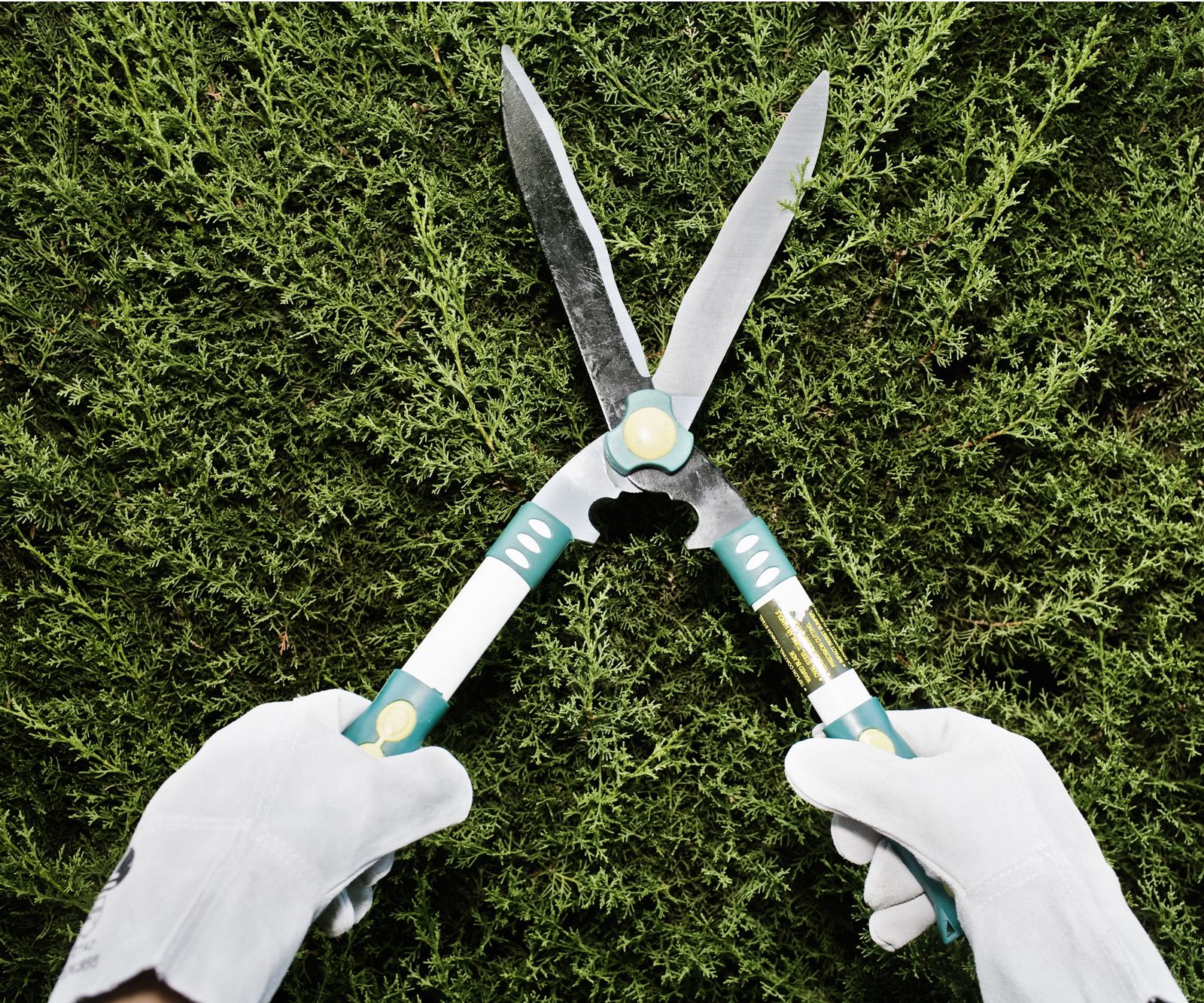 Best hedge shears – a garden product tester reveals the best | Homes ...