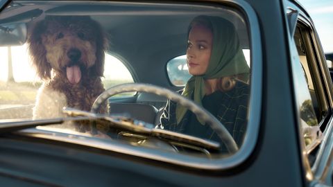 Lessons In Chemistry: release date, cast, plot, trailer more | What to ...