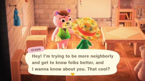 Animal Crossing: New Horizons - How to get a framed photo of your ...