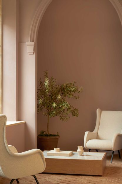 "Olive Pits" Might be the Next Big Sustainable Design Trend | Livingetc