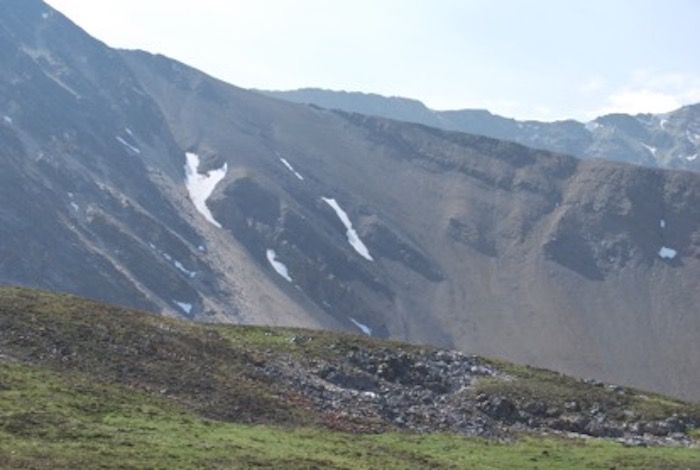 Fossilized Poop Reveals a Large, Predatory Worm That Stalked the ...