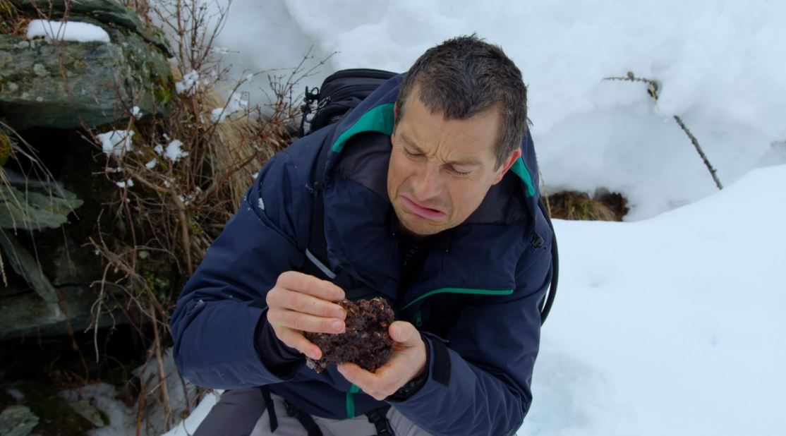 Make Bear Grylls eat bear poop in his accidentally hilarious ...