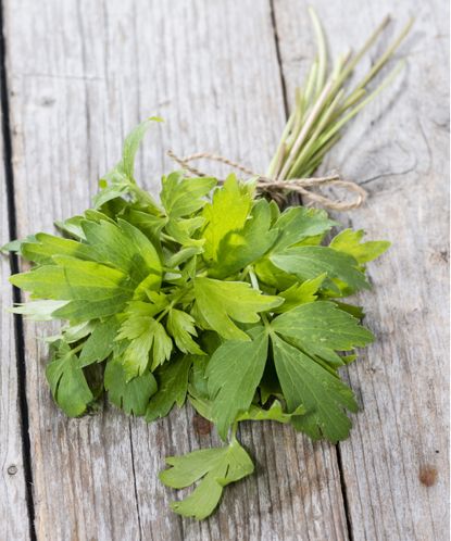 Best unusual herbs: 9 herbs to grow for interesting flavor | Homes and ...