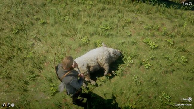 Red Dead Redemption 2 Legendary Animals | GamesRadar+