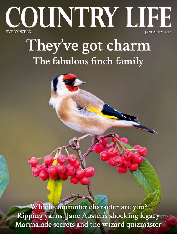 Articles by Country Life | Country Life