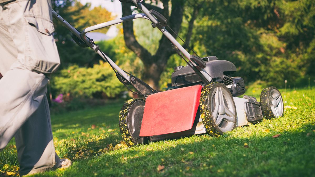 Why mowing after heavy rain could ruin your lawn mower | Gardeningetc