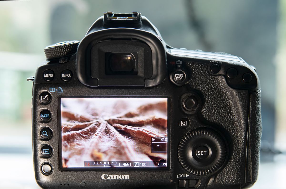 Sharpen up your focusing technique by selecting the right settings ...