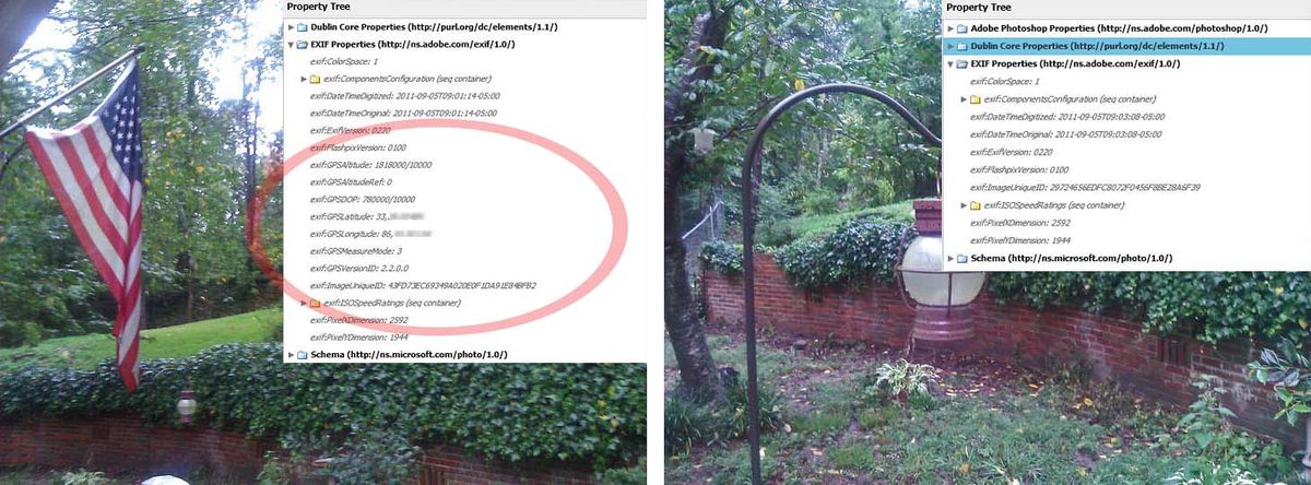 Microsoft denies they are watching us | Windows Central