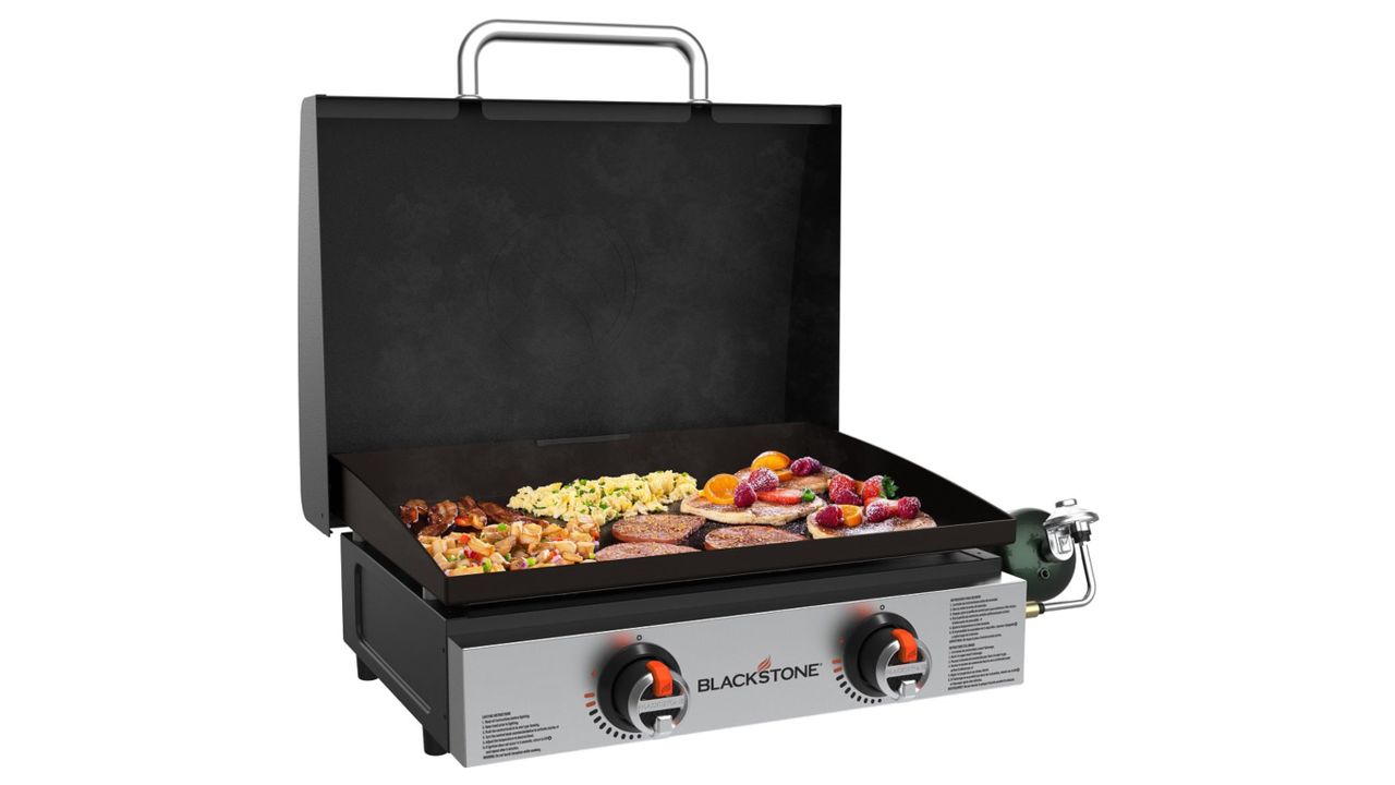 Best gas BBQ 2025: top gas barbecue grills to make summer go with a ...