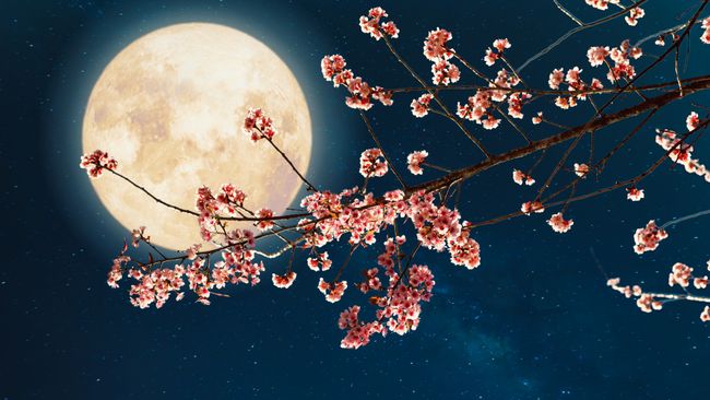 Full moons of 2025: When is the next full moon? | Live Science
