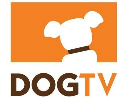 DogTV Collars Comcast SVOD Deal | Next TV | Multichannel News