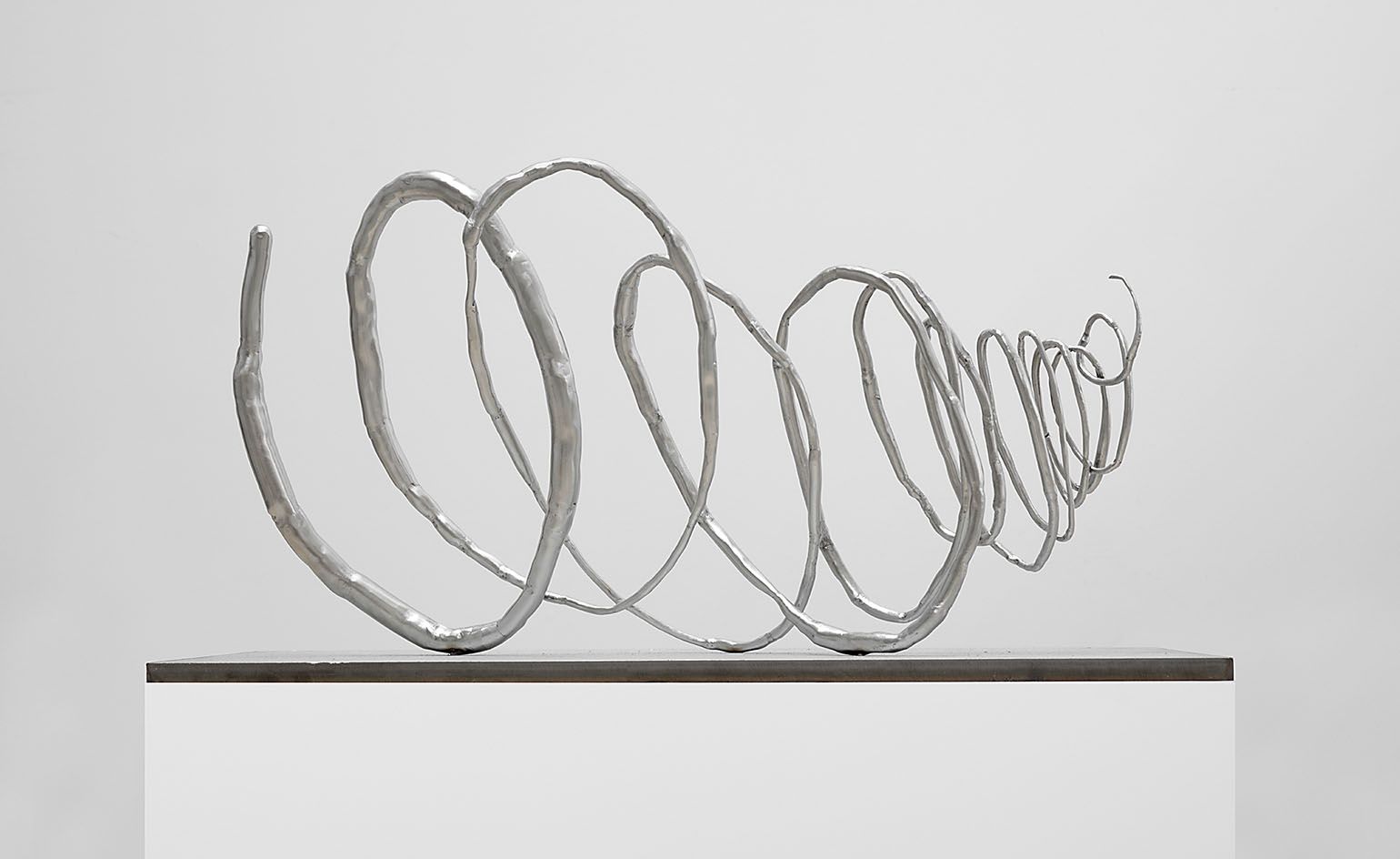 Roxy Paine's major two-venue exhibition at Paul Kasmin | Wallpaper