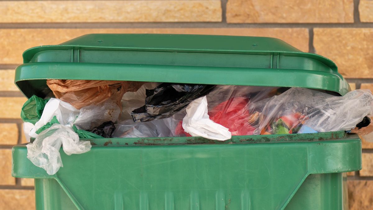 7 things that attract mosquitoes to your yard | Tom's Guide