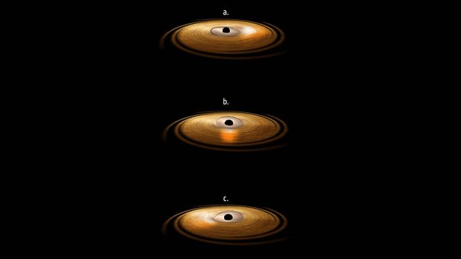 Mystery Solved: Black Holes Twist Space-Time Like Taffy | Space