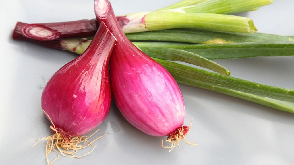 Heirloom Vegetables - Red Of Florence Onion Plant History | Gardening ...