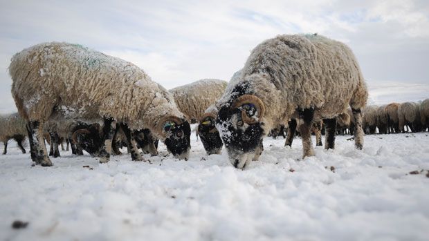Cold Easter weather may last until end of April, warn forecasters ...